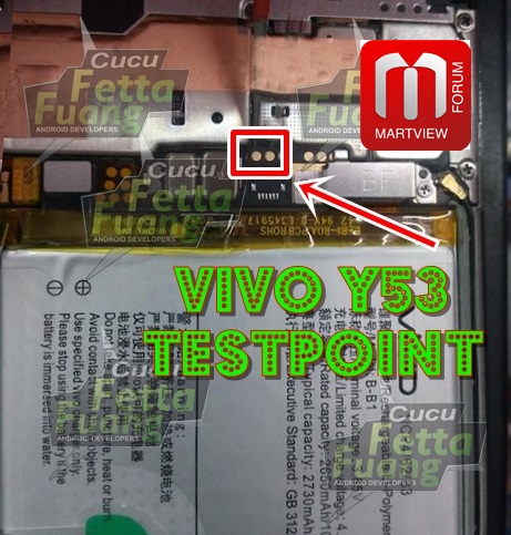 Vivo NEw Test Point (Edl-Point)Collection Here | Martview-Forum
