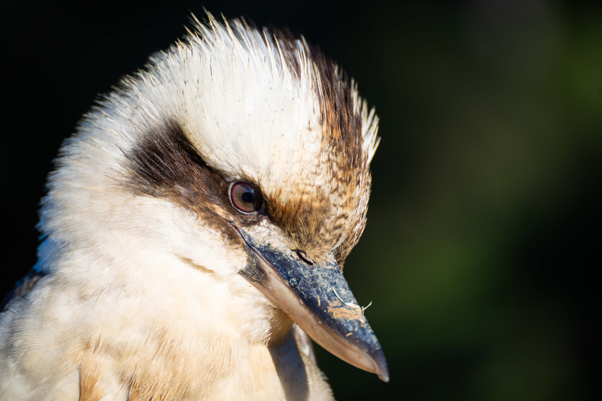 DSC05762 — Postimages