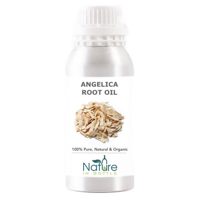 Angelica Root Essential Oil Organic - Archangelica Archangel
