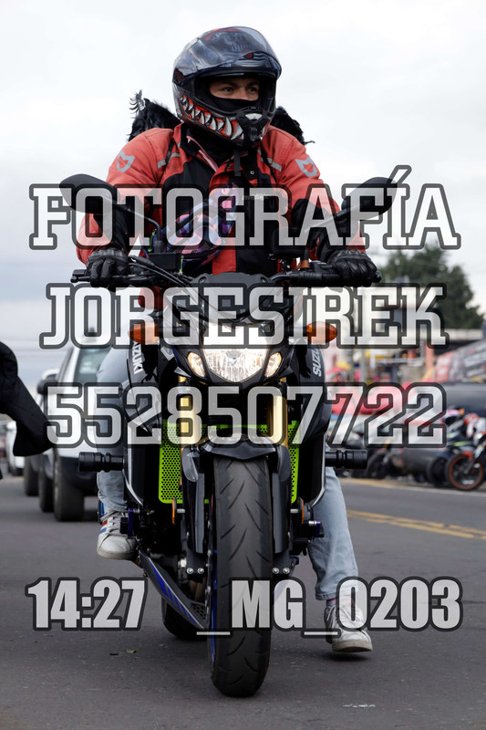 MG 0203 — Postimages