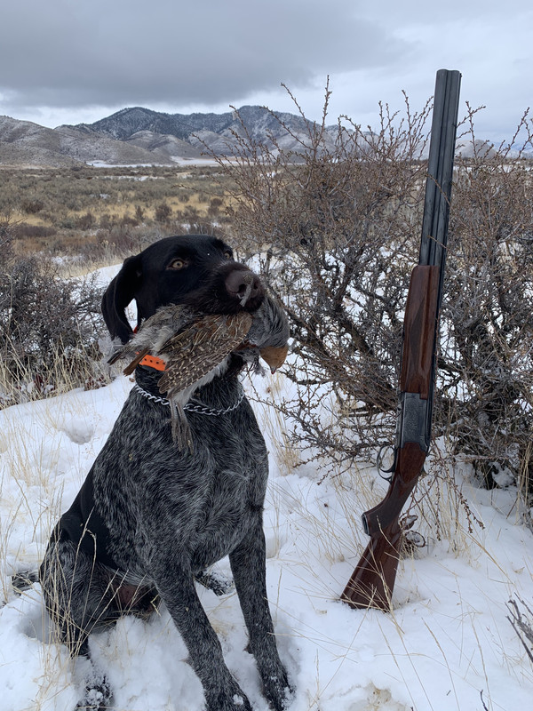 D5 FDAD3 B 7 D10 4 AED 82 E2 A3493 B35 A865 — Postimages