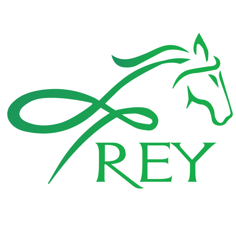 Filosofi Logo REY - Alfabet Inkubator Indonesia