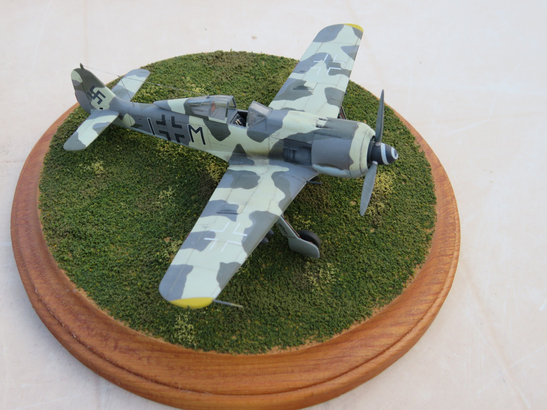 1/72 Hasegawa Focke Wulf FW 190 F-8 | Modelers Social Club Forum