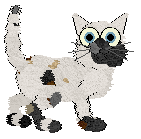 Thor's EBW Catz Pose Show #149 (Judged) | The RKC Petz Forum