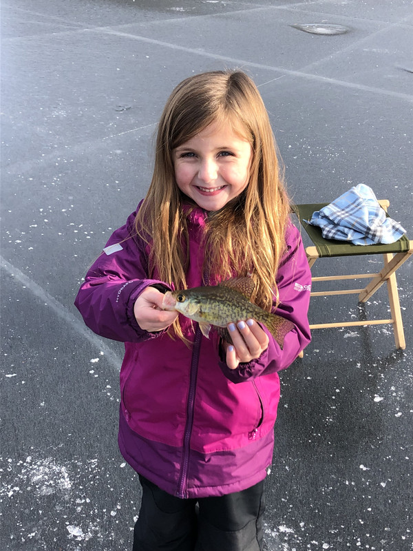 ACA8 F075 01 E6 4155 A584 5484 F3 CD34 EA — Postimages