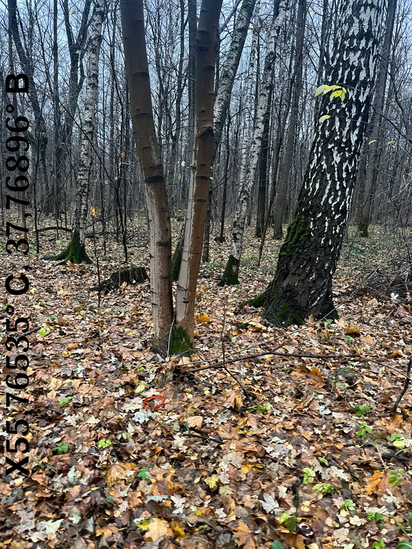 IMG 1645 — Postimages