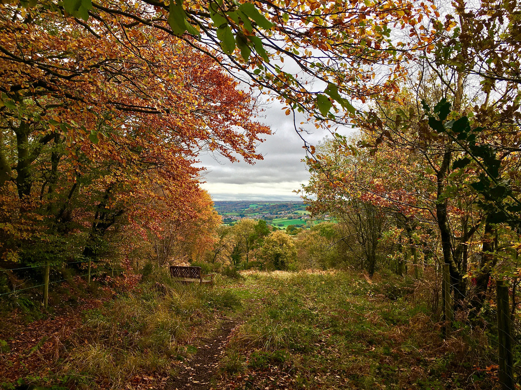 IMG 8211 — Postimages