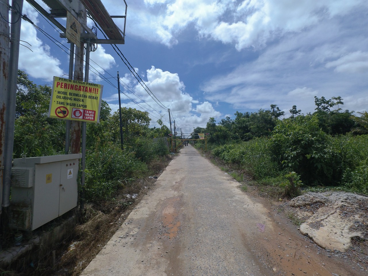 Komp Bunga Parma — Postimages