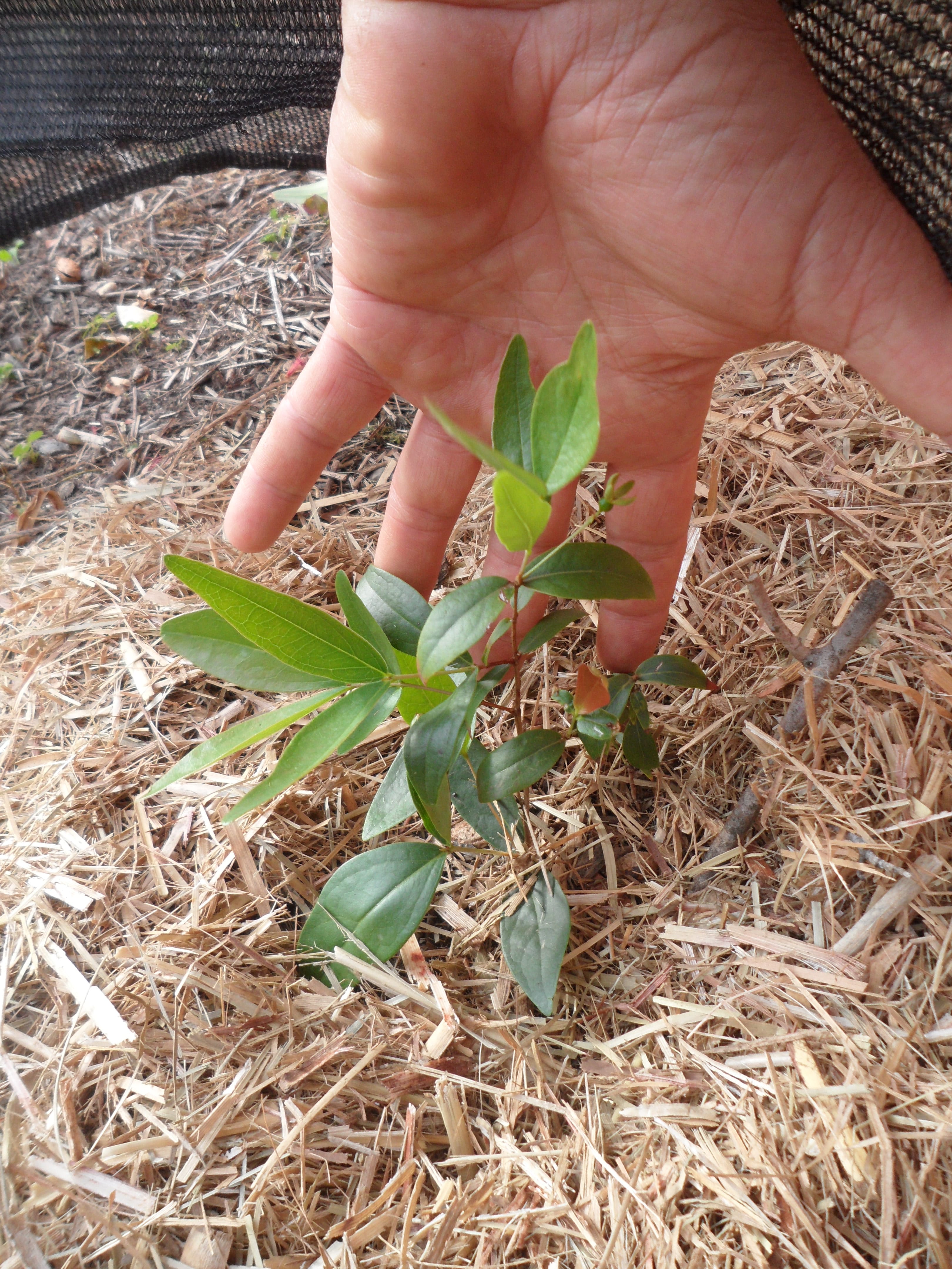 SAM 0984 — Postimages