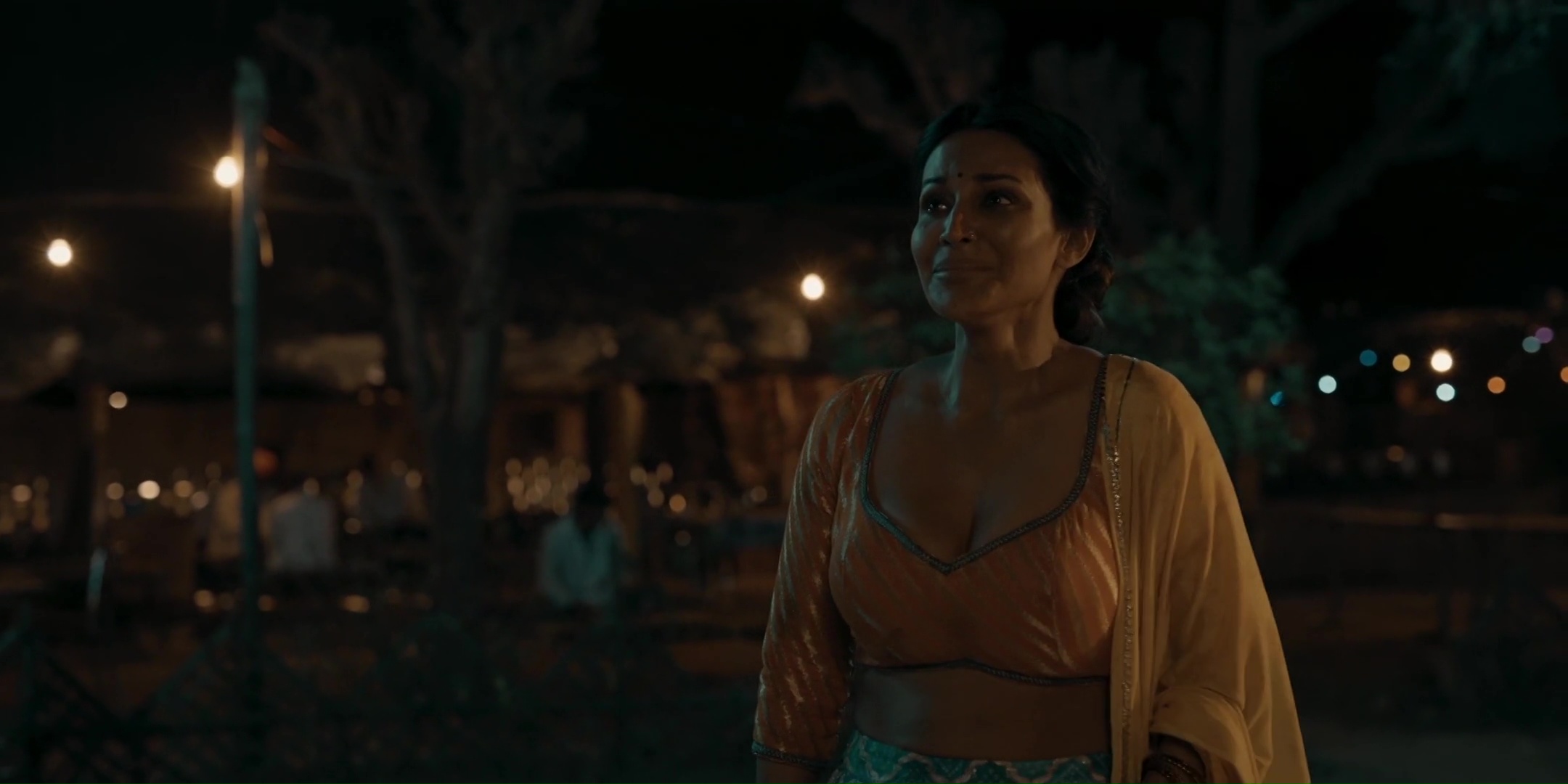 vlcsnap 2025 01 15 19h06m58s645 — Postimages