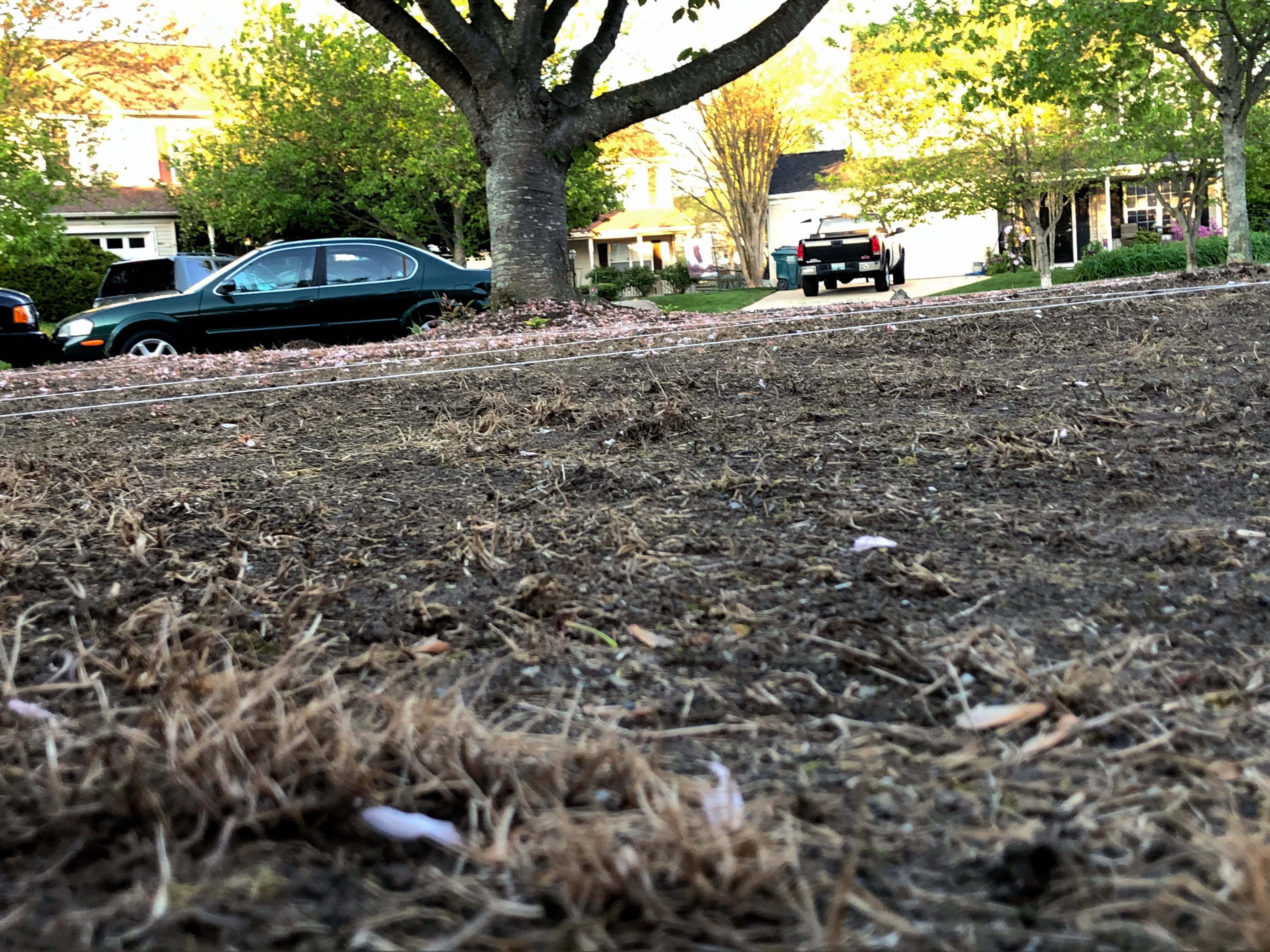 IMG 003 — Postimages