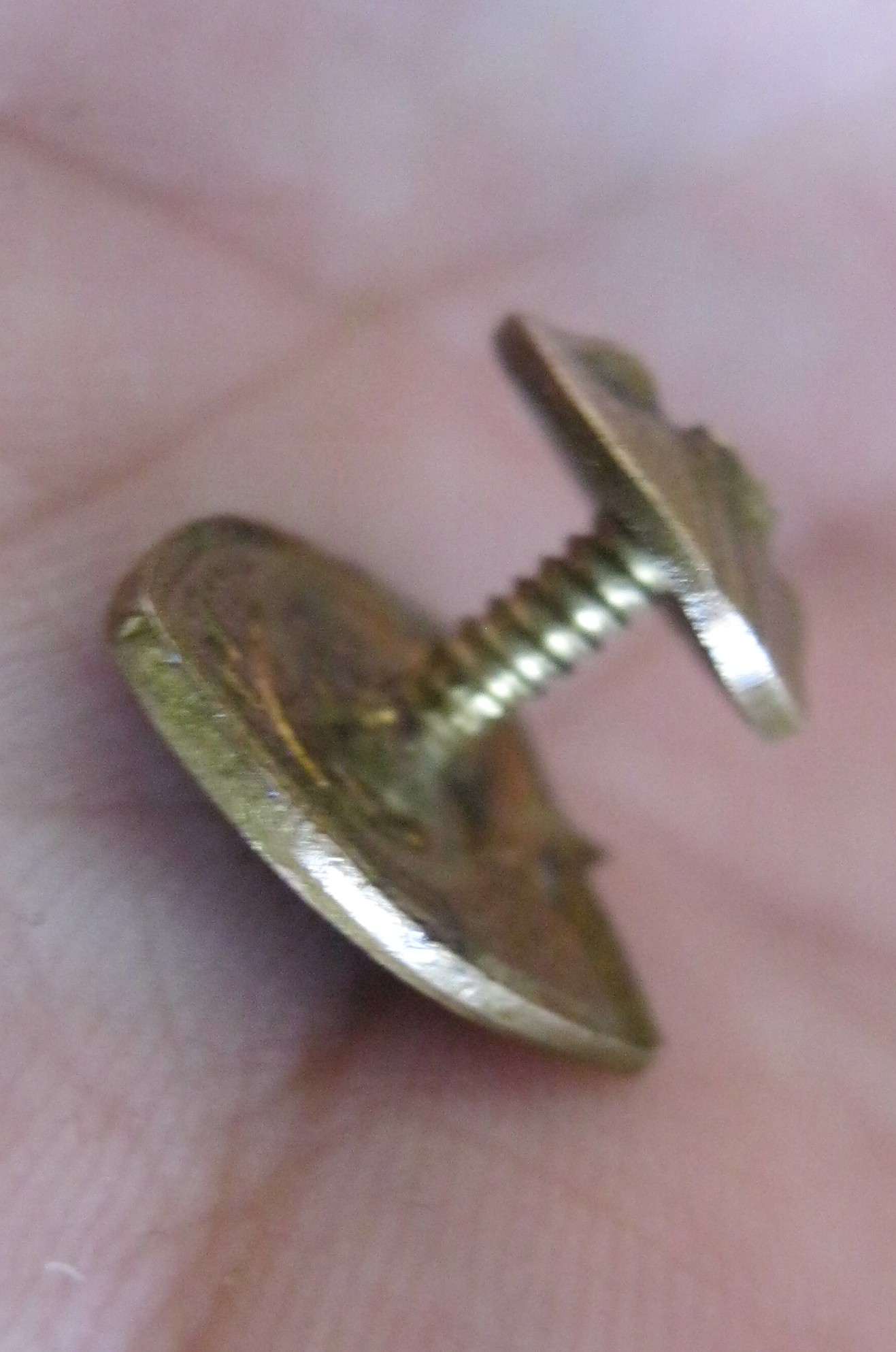 IMG 2361 — Postimages