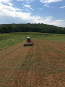 Stolonizing/Sprigging 15k TifTuf | Lawn Care Forum