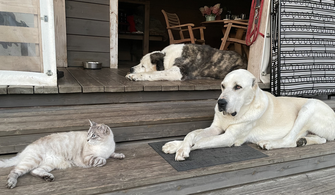 IMG 7656 — Postimages