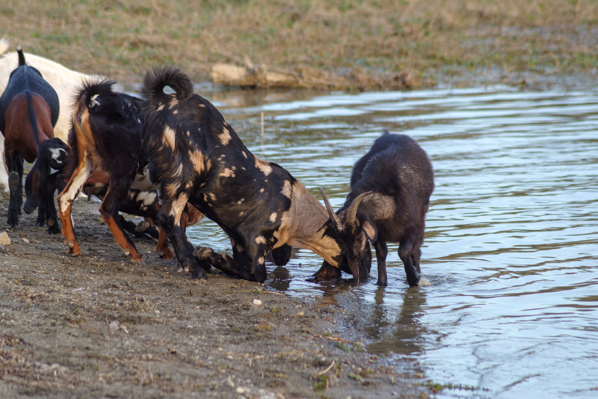 V0000189 1600 — Postimages