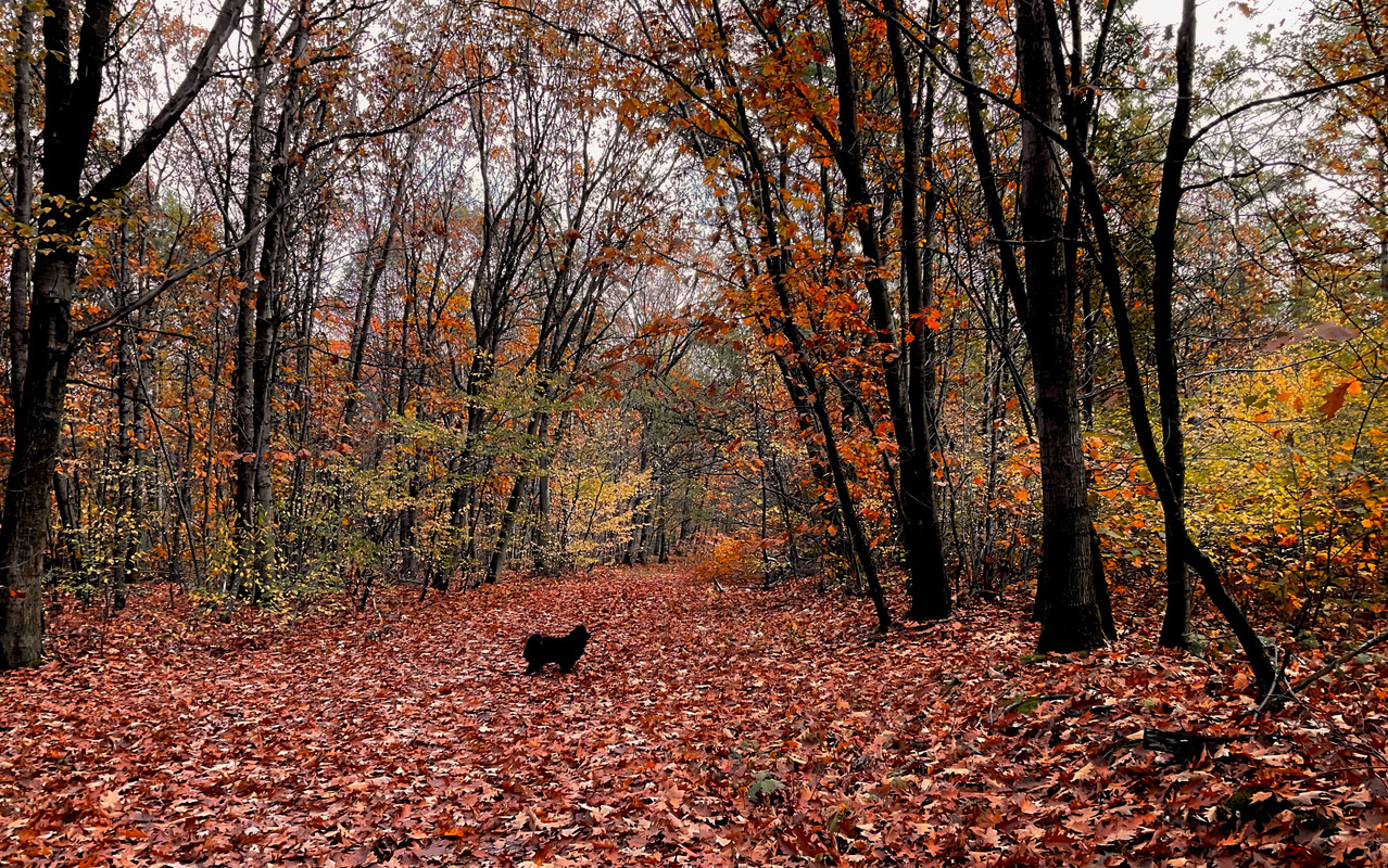 B76168 DD 0204 4 FE7 97 EA AB9271452 A37 — Postimages