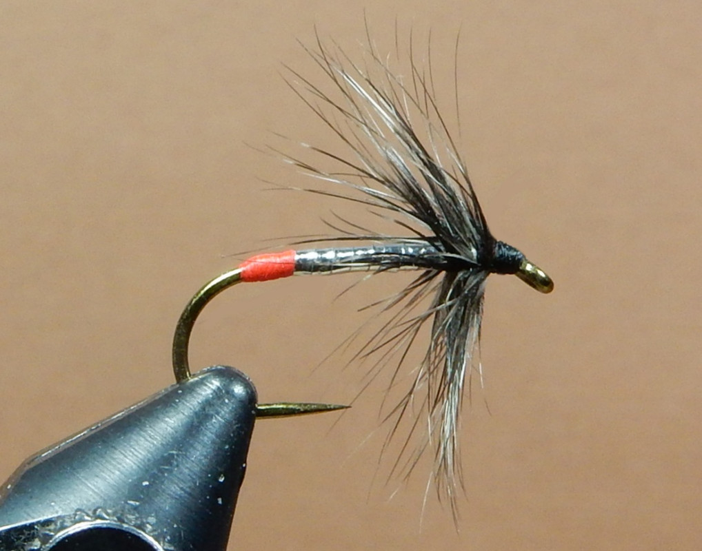 Gray Hackles - Fly Tying - Maine Fly Fish