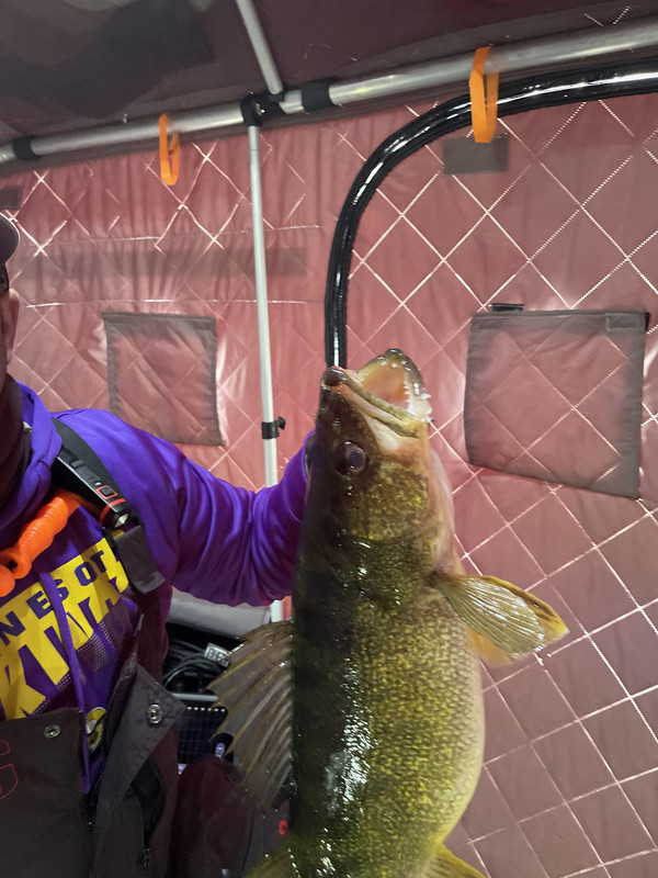 8 F896820 90 E8 4704 BDE2 30246 E110128 — Postimages