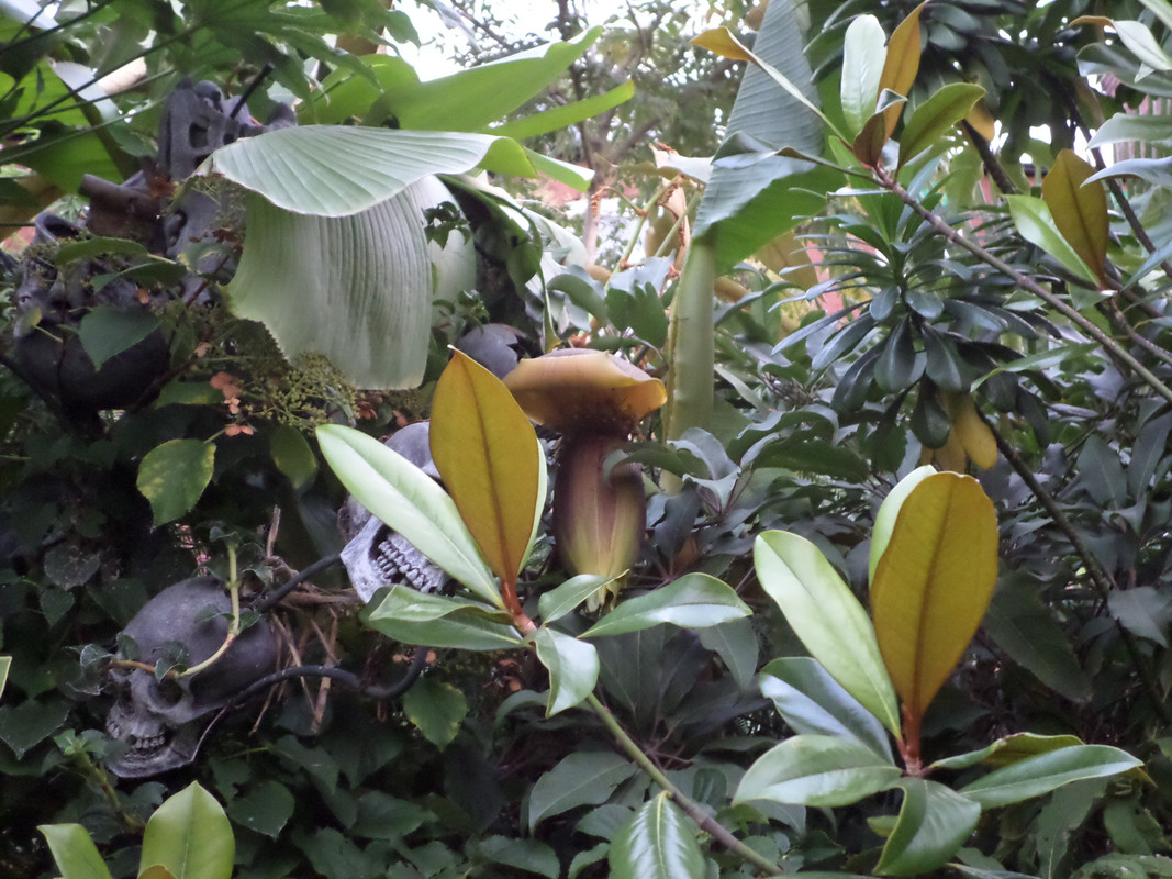 SAM 2673 — Postimages