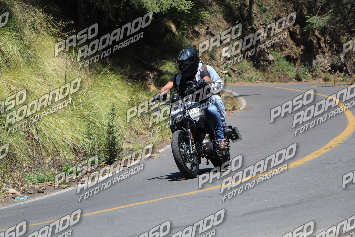 IMG 5153 wm 347124 3000000003 watermarked — Postimages