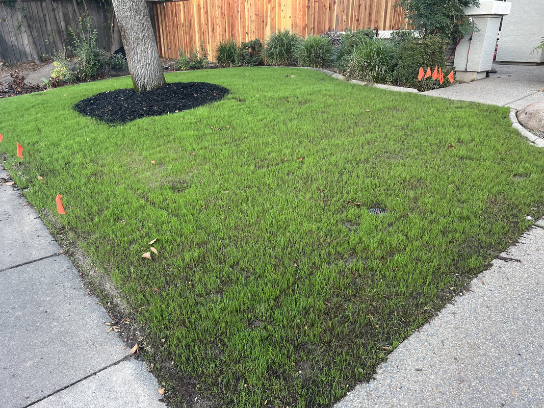 20 C6 C354 A8 D7 40 F3 9274 2 B8 A5 A1 C62 BB — Postimages