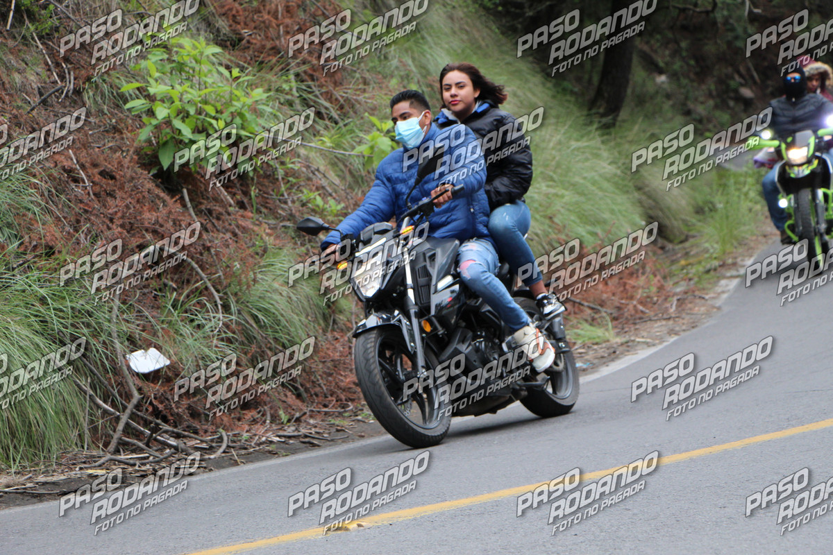 IMG 8060 wm 1221620 watermarked — Postimages