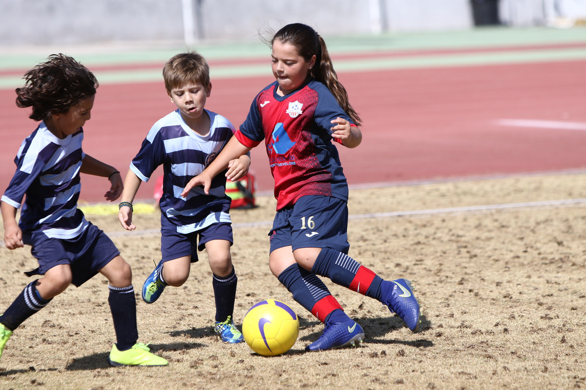 VIK 2101 — Postimages