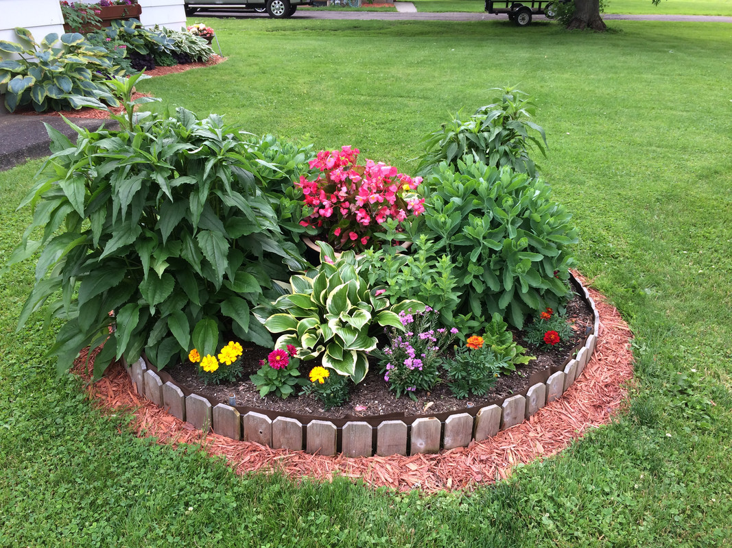 IMG 2742 — Postimages