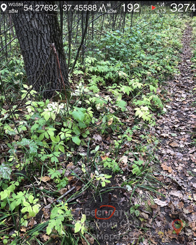 0 AEE4477 8695 4 AFD 9 E61 126659566 A79 — Postimages