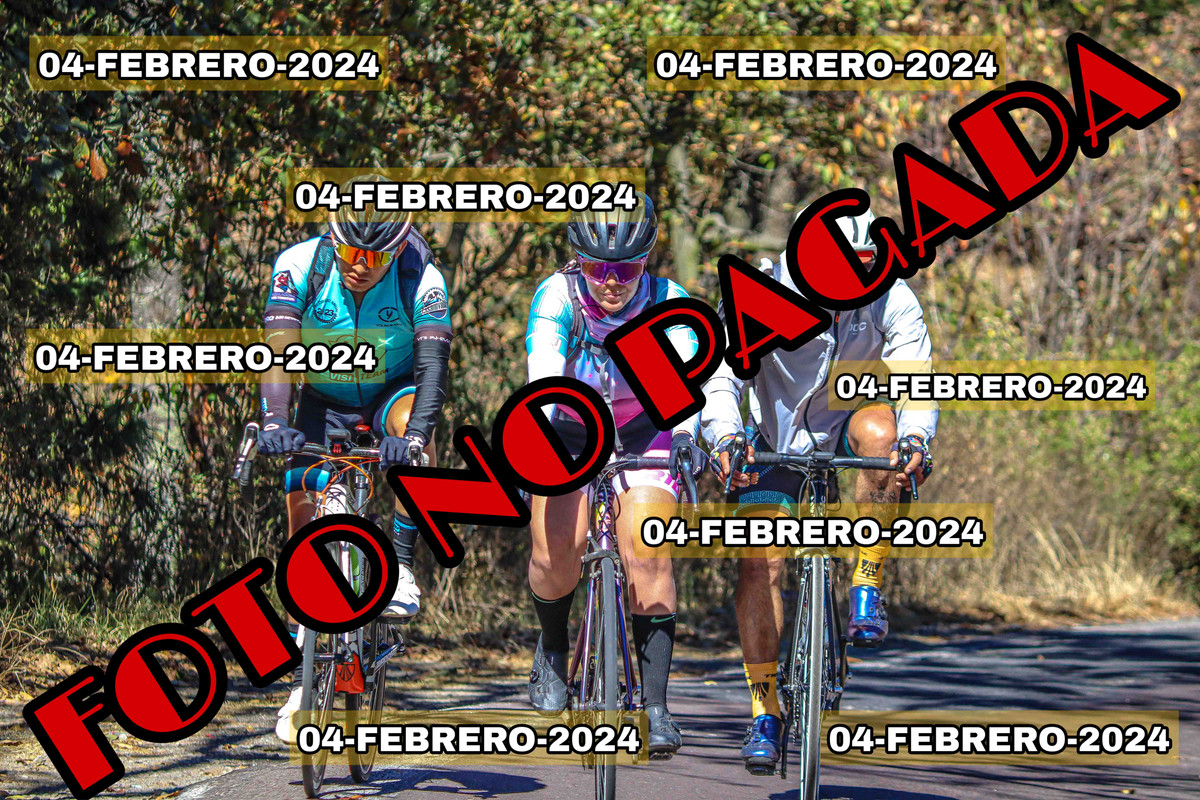 CS 1040 — Postimages