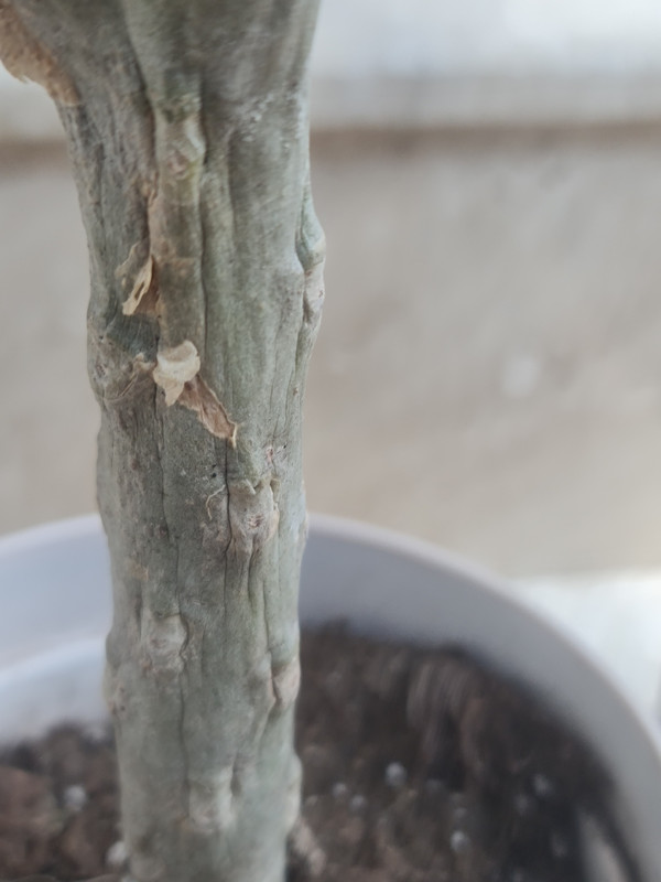 20240316 124525 — Postimages