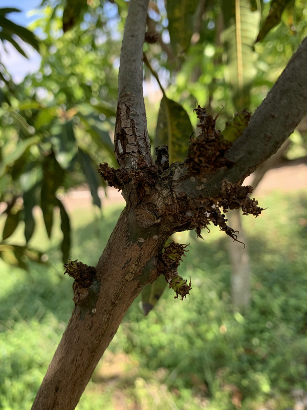 IMG 2348 — Postimages