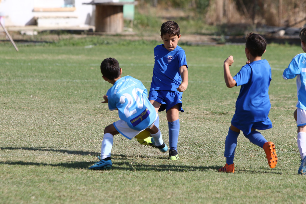 VIK 1203 — Postimages