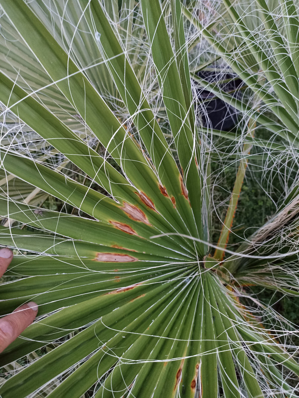 IMG 20220525 203708 — Postimages