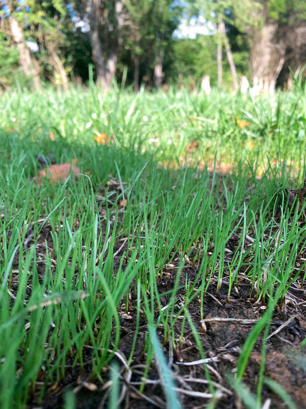 B054 BA92 B2 C5 4 CA4 8 D73 99 C18 DB7 DF35 — Postimages