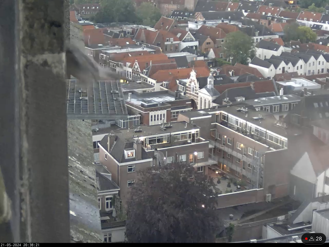 IMG 1074 — Postimages