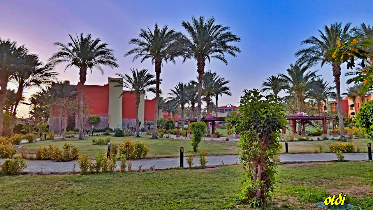 aurora 5 — Postimages