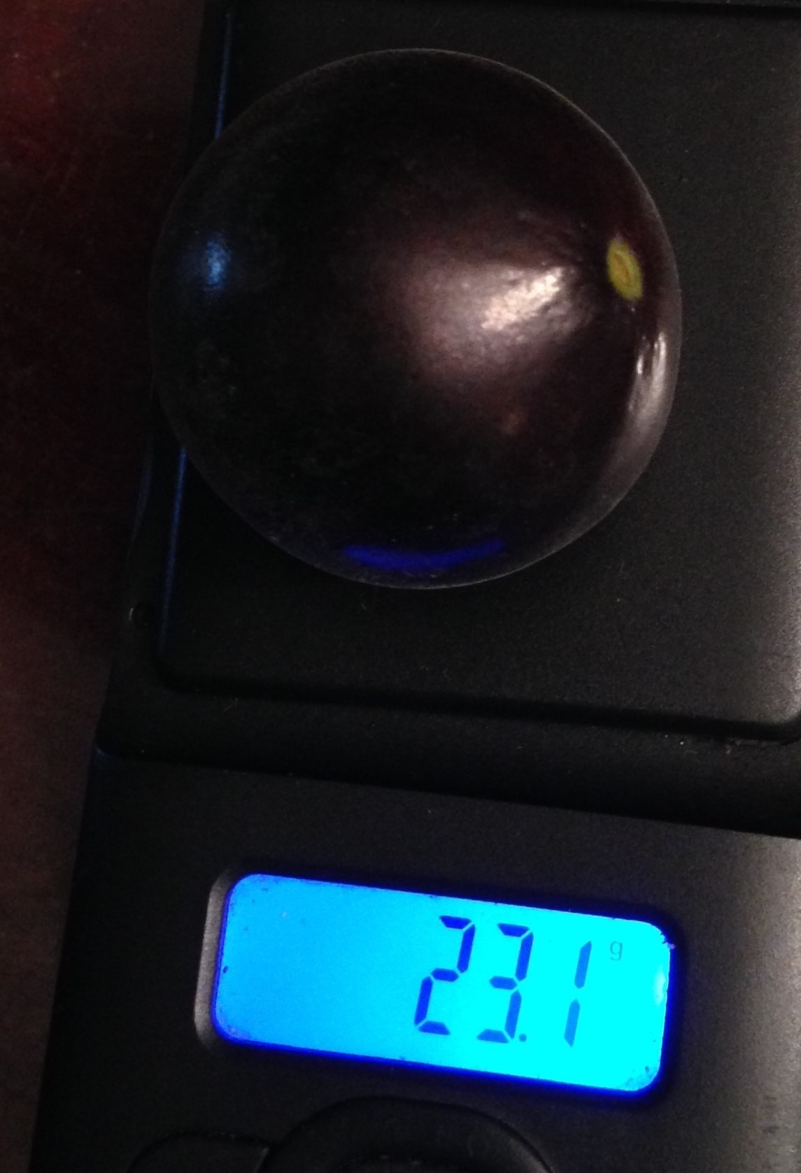 Full Size Render(3) — Postimages