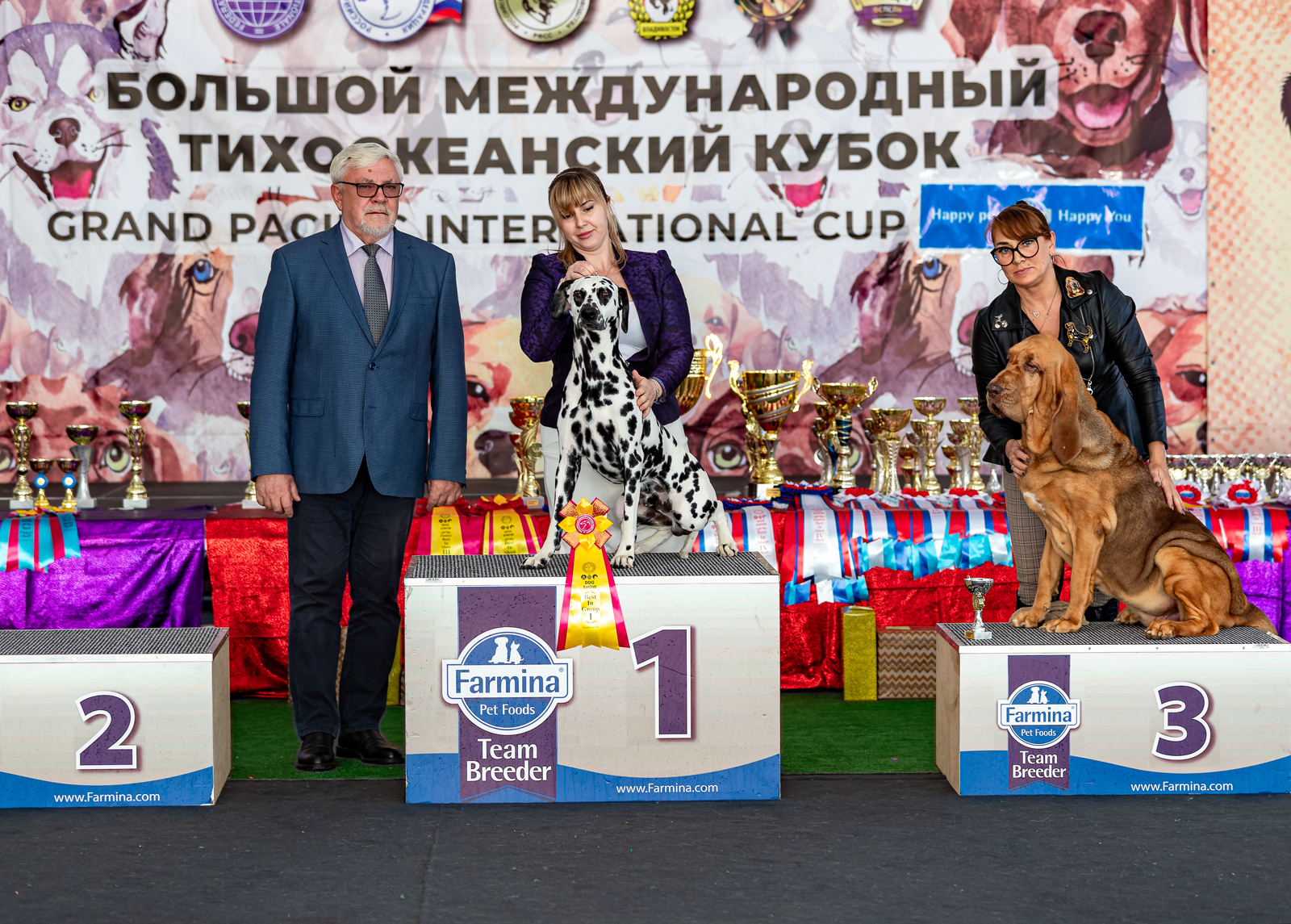 01 269 — Postimages