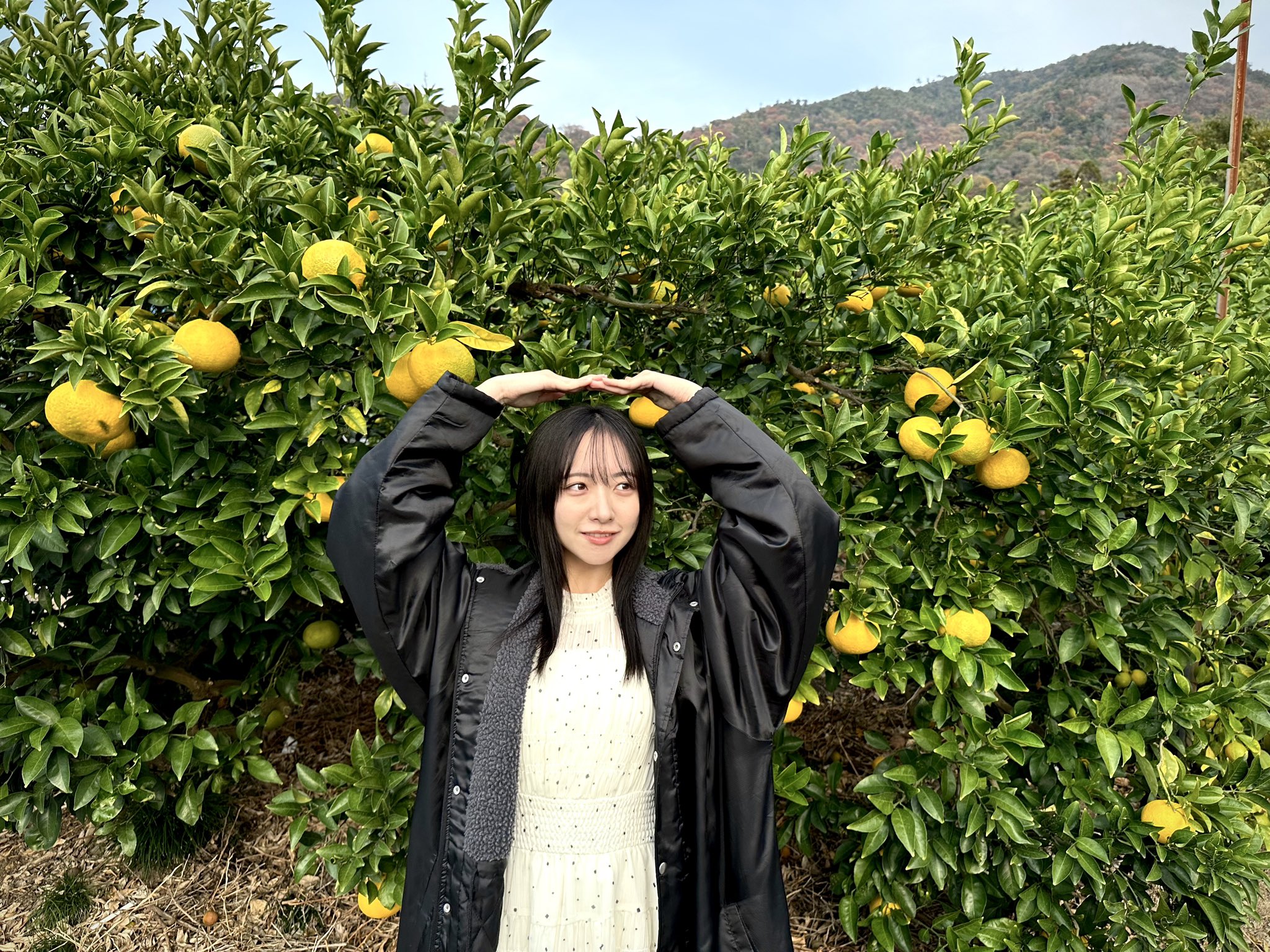 Fl Cox2 Ya YAAT l W — Postimages