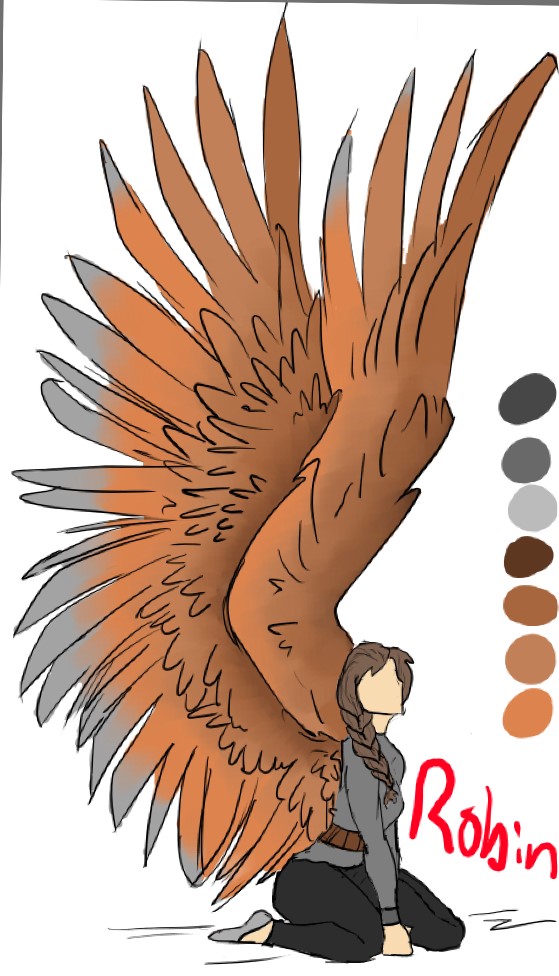 Robin Complete — Postimages