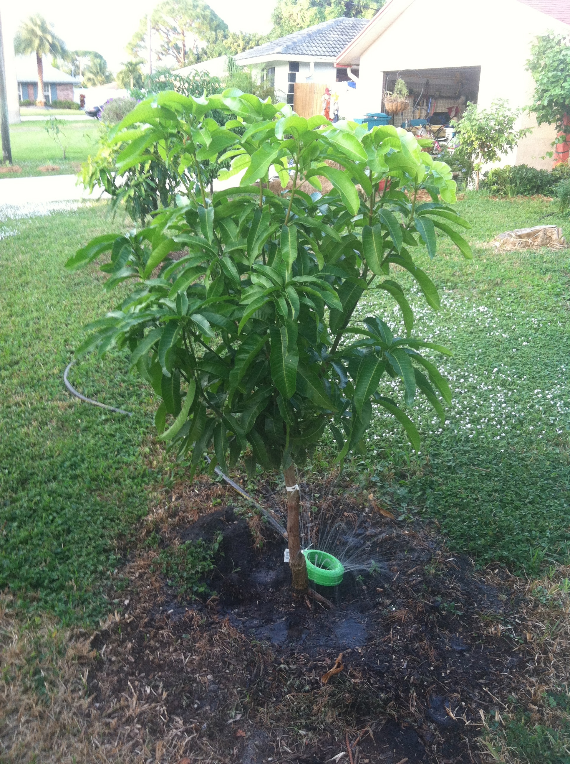 IMG 2452 — Postimages