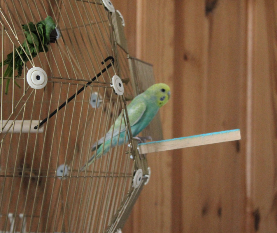 20230717082511 img 0446 — Postimages