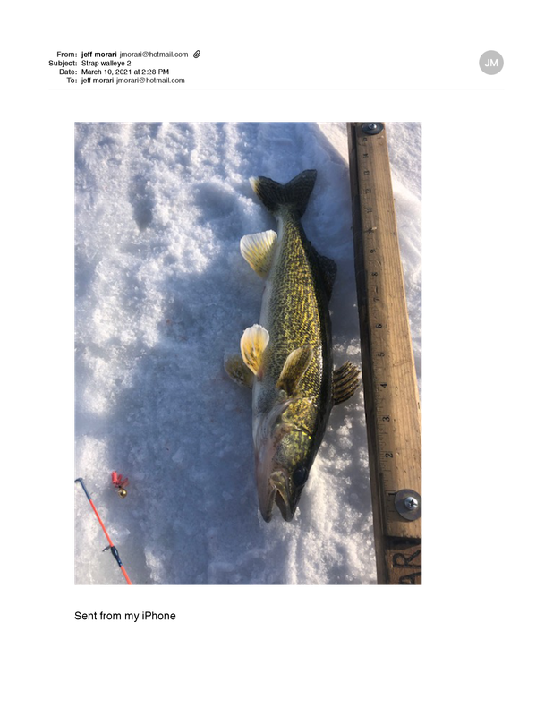 Strap walleye 2 — Postimages
