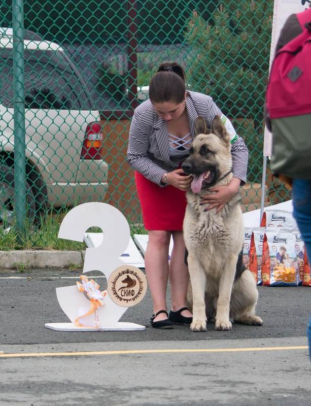 20190511 DSC 0570 — Postimages