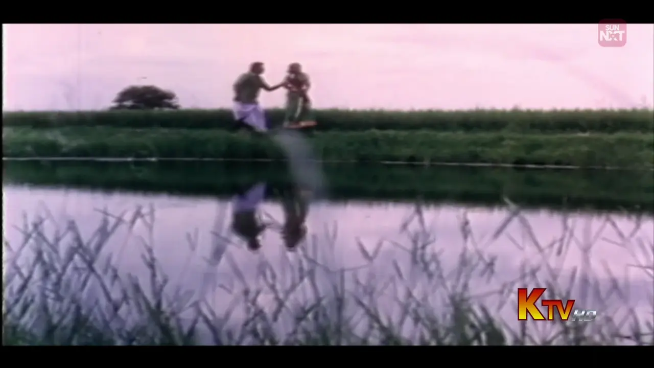 f 230 — Postimages