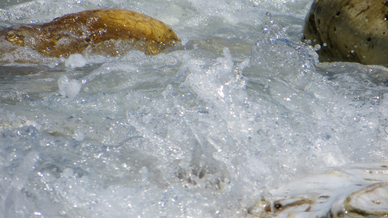 IMG 1279 — Postimages