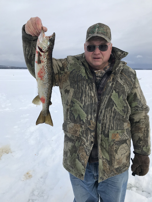 5081 DAED EF08 4 CB8 AB40 EB8 E4 BA502 BD — Postimages