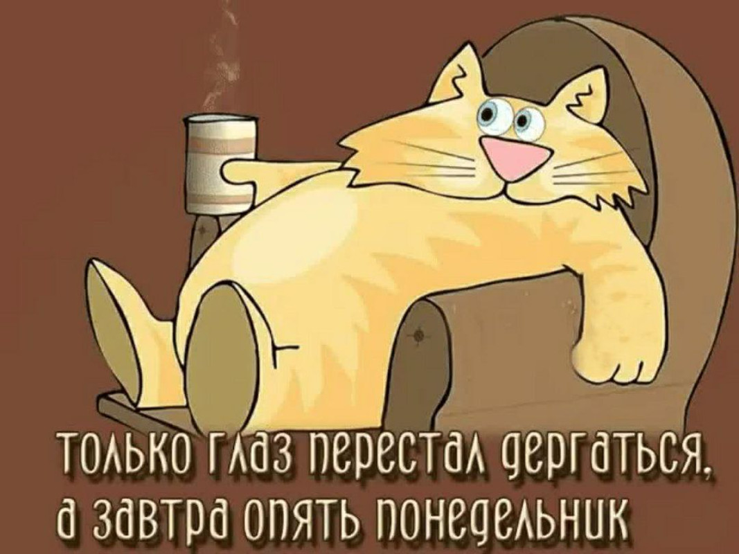 IMG 20230806 102244 106 — Postimages