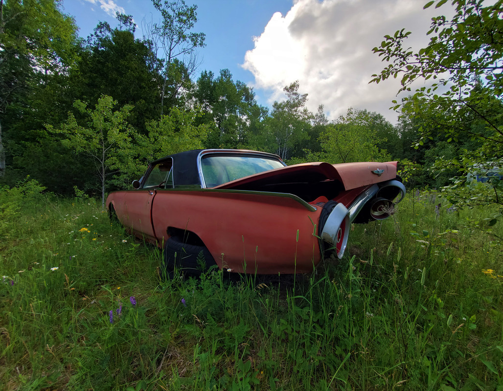 4 61 62 T Bird — Postimages